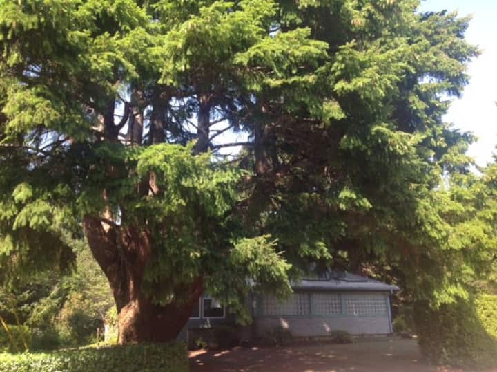 Bungalow By The Big Tree - Bandon Dunes Golf Resort