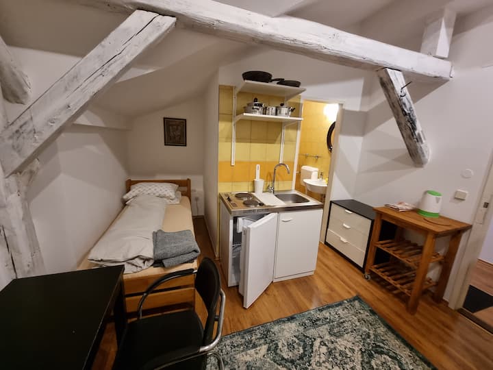 Nice Studio 4 Near Center - Zagreb