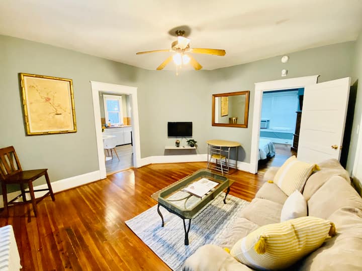 Charming Stylish Historic 1 Br Apt. - Winston-Salem, NC