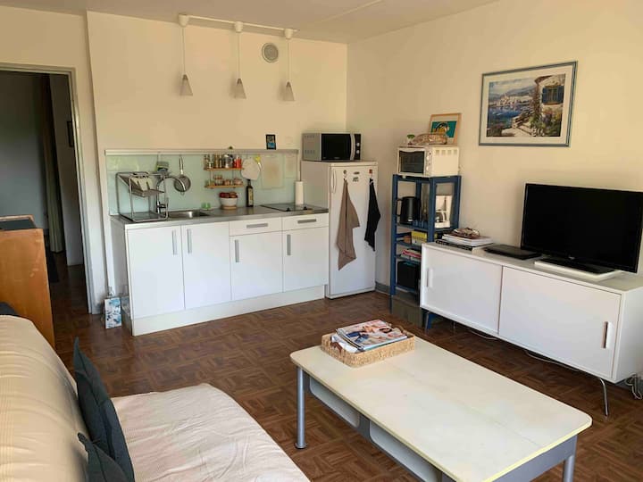 Lovely One-bedroom Appartement With Pool - Var