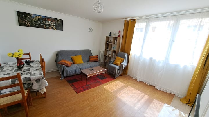 (Adèle Sara 1) Chambre Dans Appart Avec Parking. - Tours