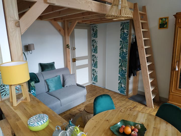 Bagnères De Luchon :T1bis Avec Vue Montagne - Bagnères-de-Luchon