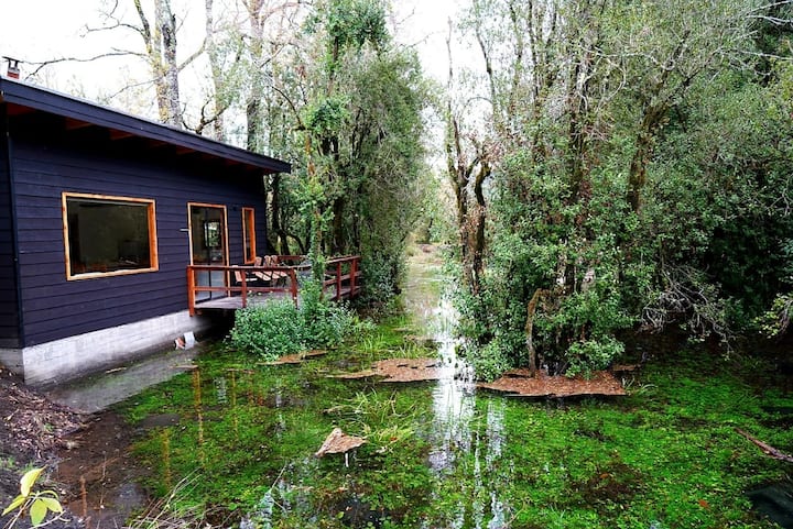Descanso Y Naturaleza - Los Ríos