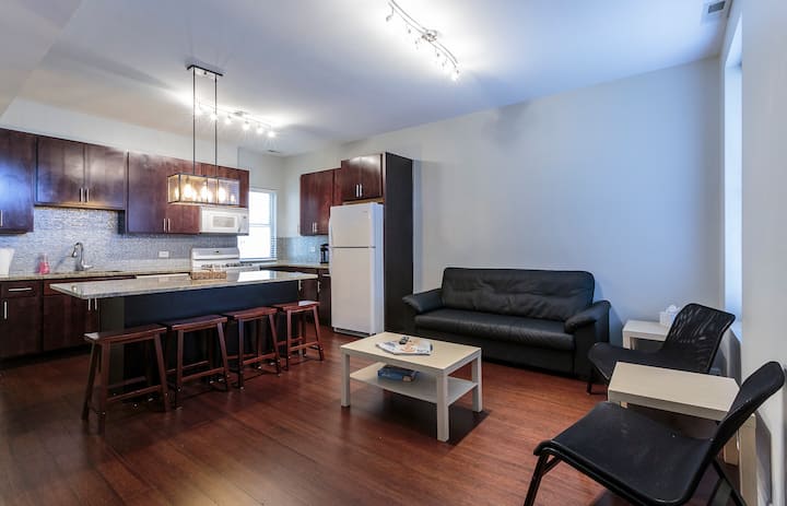 3br/1.5ba Between Downtown And U. Of Chicago - Chicago, IL