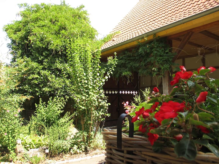 Gîte De La Petite Etable - Barr