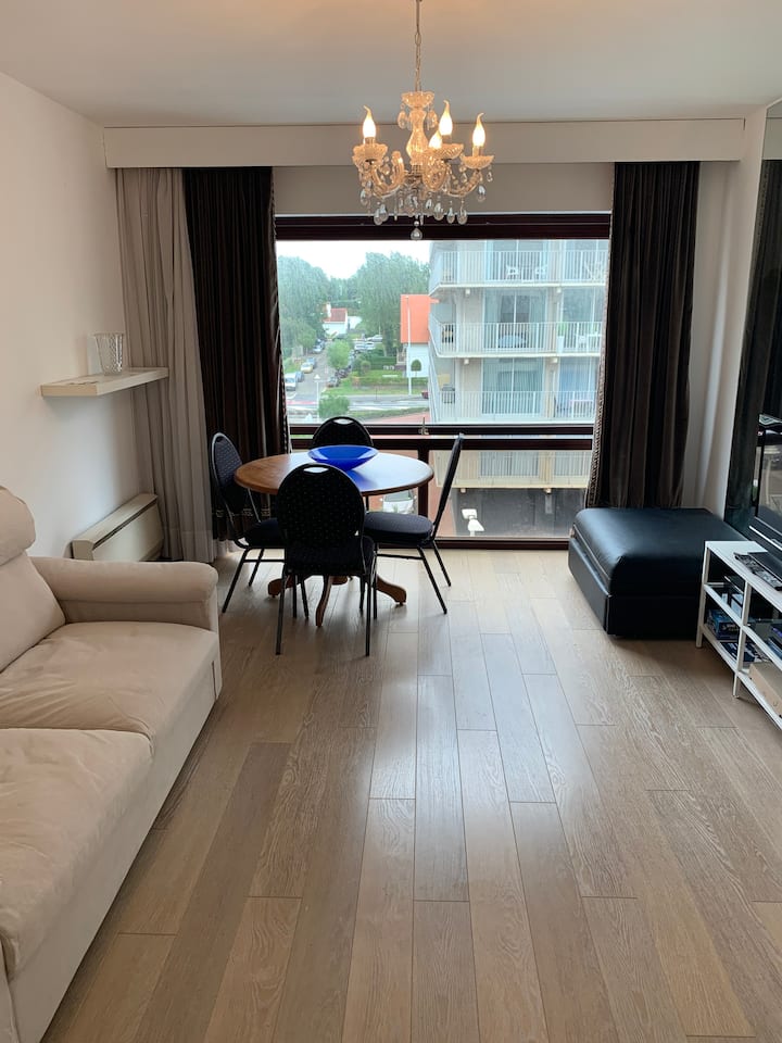 Studio à 100m De La Mer - Nieuport