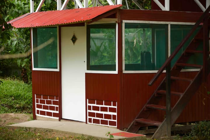 Chaikoni House | Ayahuasca | - 1st Floor - Pucallpa