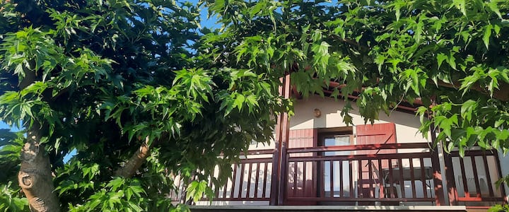 Appartement T3 / 65m2 Au Calme Sur Anglet - Baskenland