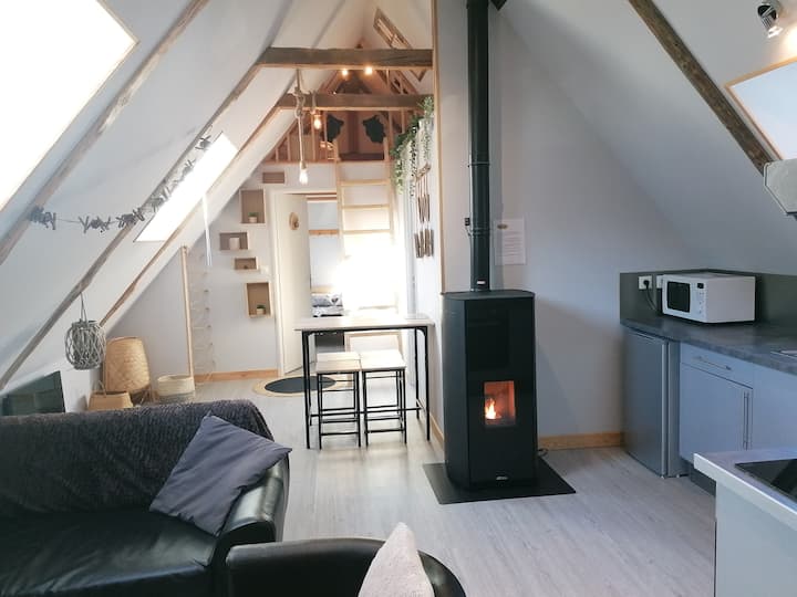 Location Loft 2 - 4 Personnes Besse - Besse en Chandesse