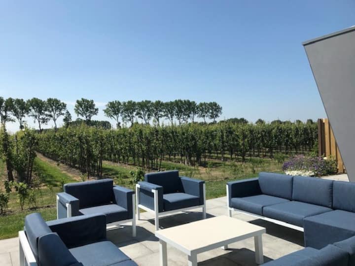 Hoeve Oude Tol 12 Persons - Breskens