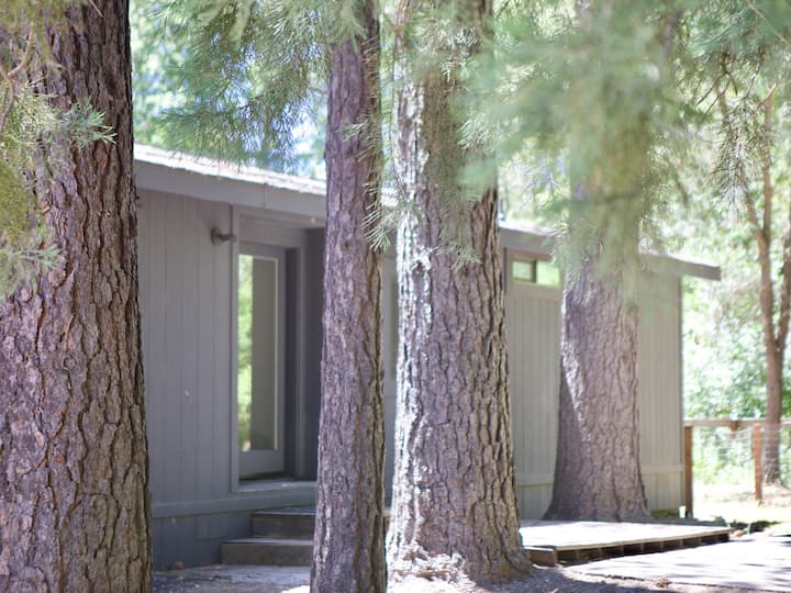 Konocti Lodge - Secluded Forest Getaway - California