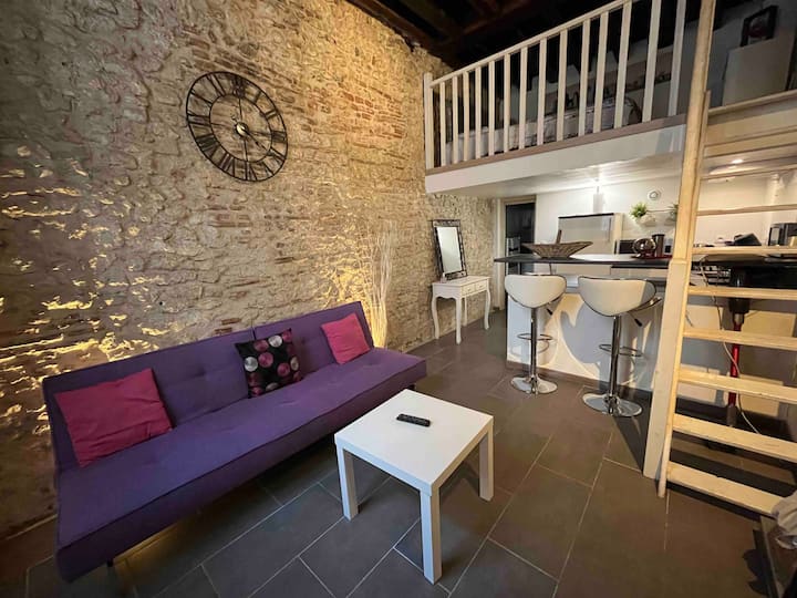 Studio-mezzanine Au Calme En Hyper Centre - 오를레앙