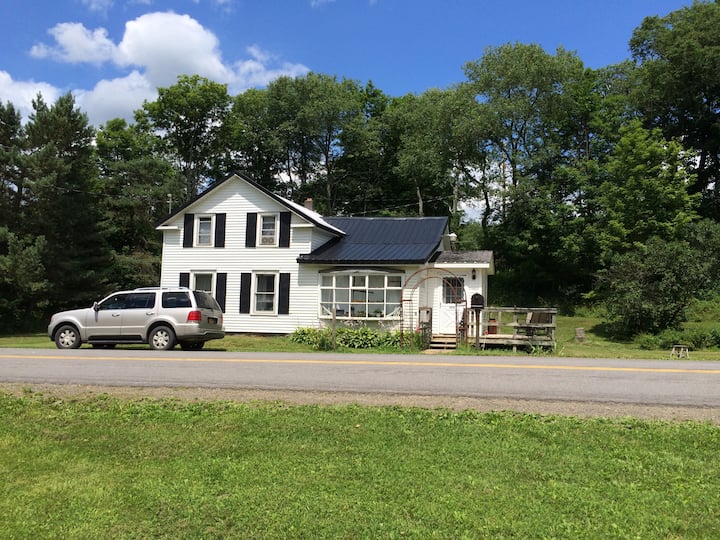 Quiet Cottage Fast Wifi,charlotteville/worcester - Davenport, NY
