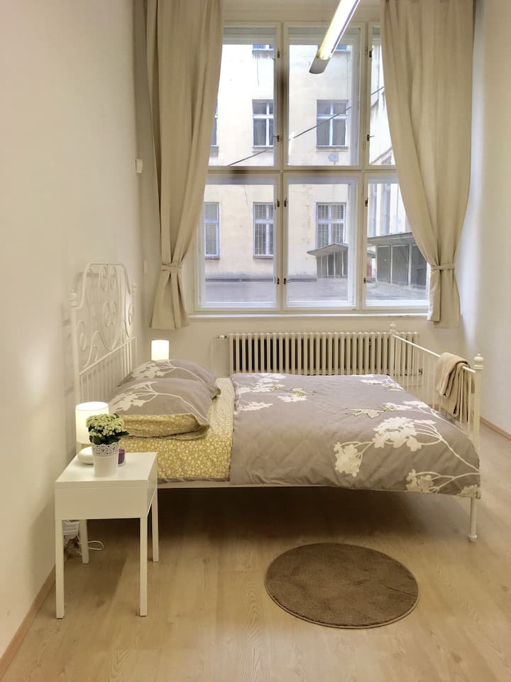 Private Bedroom In Perfect Location - 布拉格