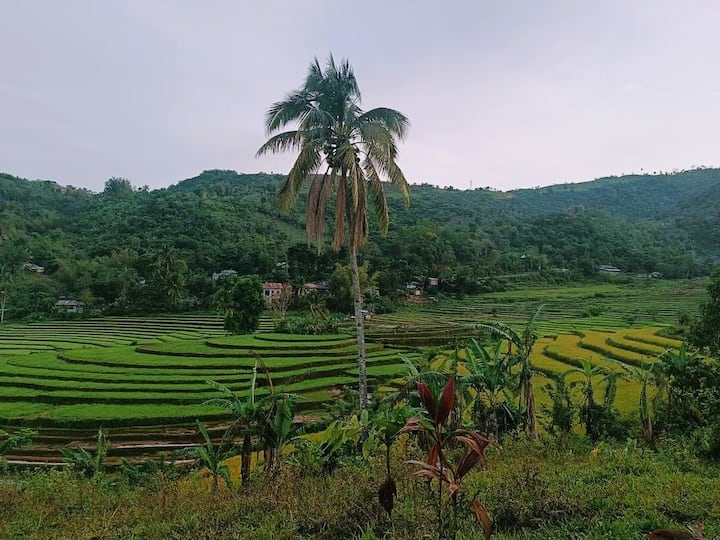 Bungyod Camp And Cafe - Bago City