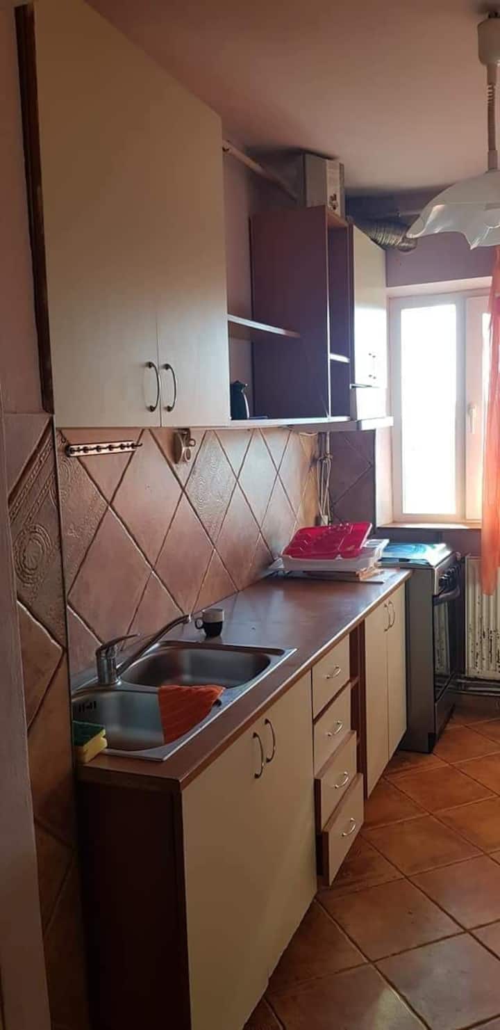 Satu Mare Homey Apartment With A View - Satu Mare
