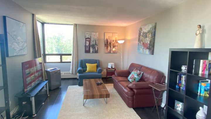 Nice Clean Condo Located Downtown Edmonton - Edmonton