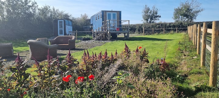 Betty Bedford Horsebox Glamping - Aberaeron