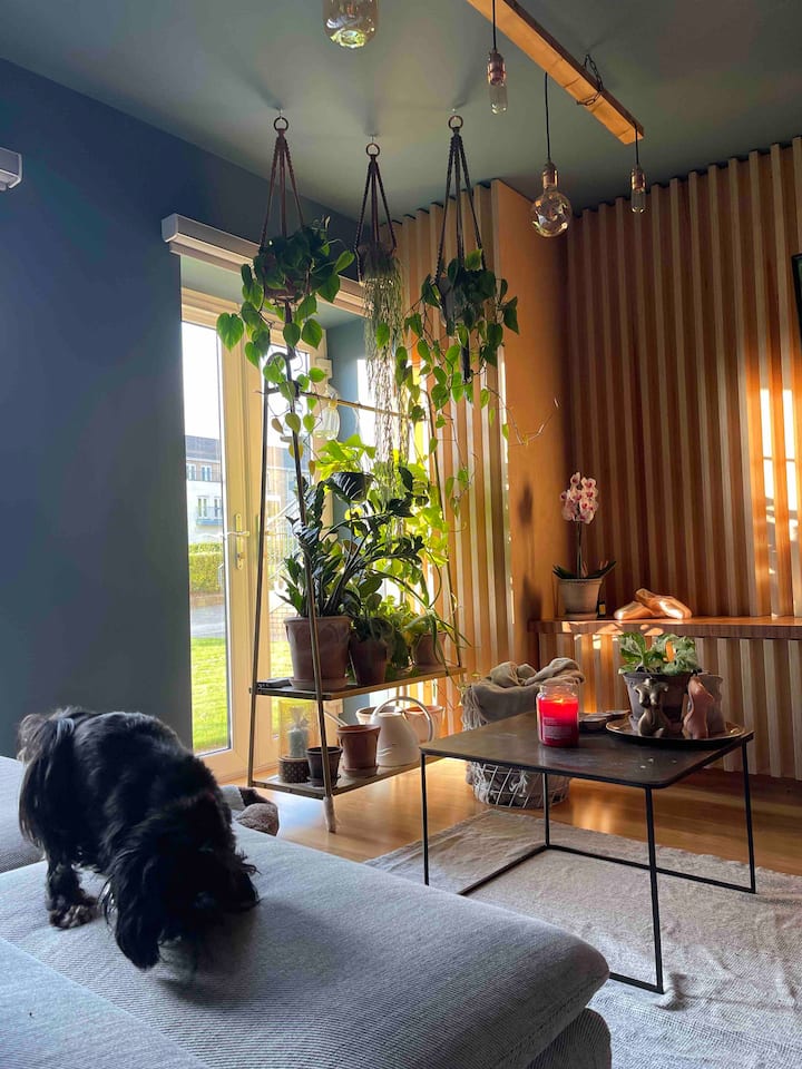 Cozy Tiffany Two Single Beds - Dublin