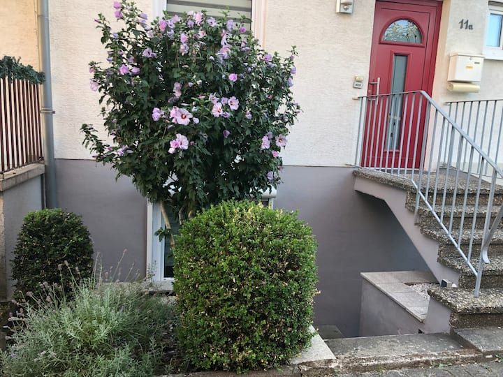 Einliegerwohnung / 1-zimmer Apart. Nähe Frankfurt - Hanau