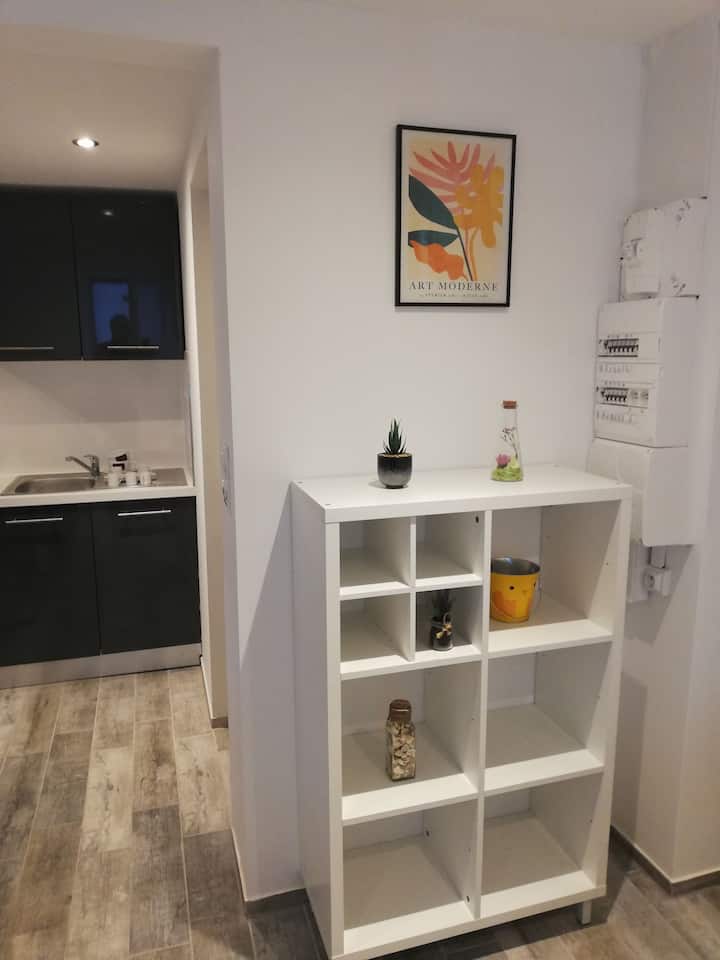 Logement Avec Terasse, Vignes Alsace Et Randonnées - Guebwiller