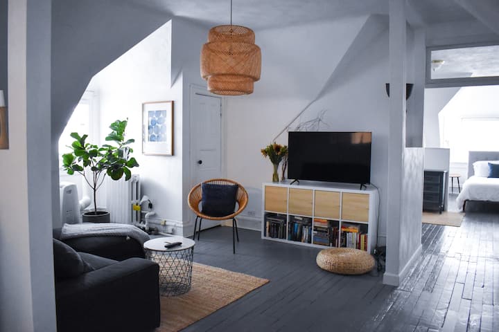 Sunny 2 Bedroom Apartment In Historic Home - Washington University, St. Louis