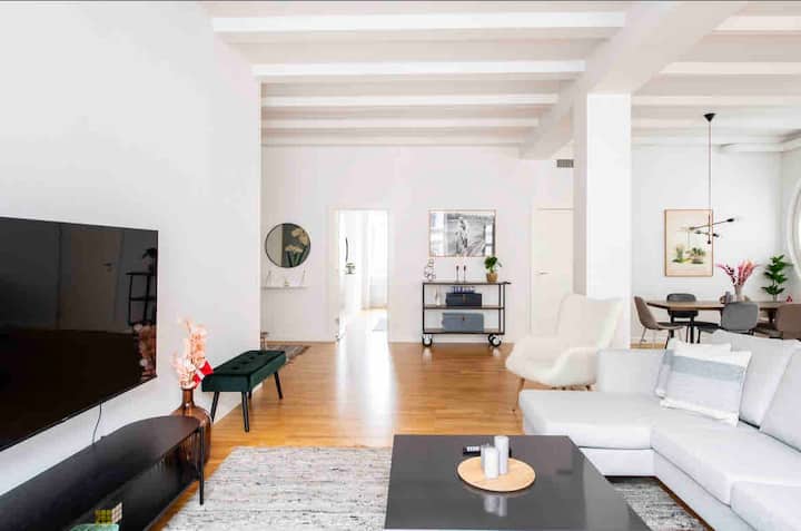 170sqm Luxery Apt. / City Center With Elevator - Copenhagen