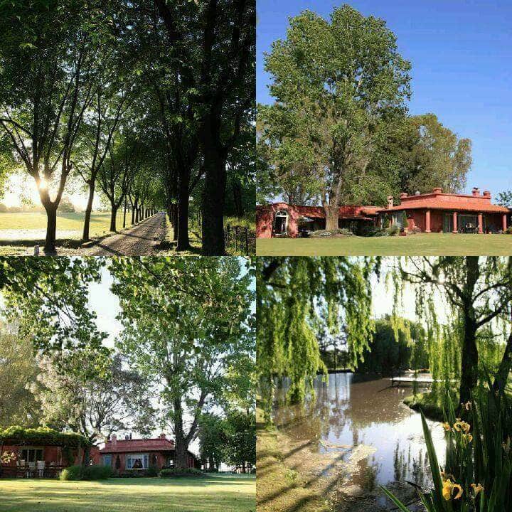 Campo San Francisco - Luján