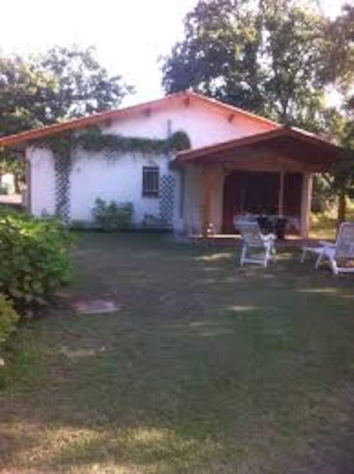 Maison Calme Et Fleurie - Biscarrosse