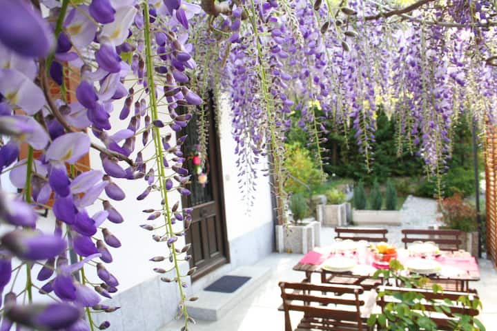 Villa Dei Fiori -Casa Con Patio 012092-lni-00002 - Luino