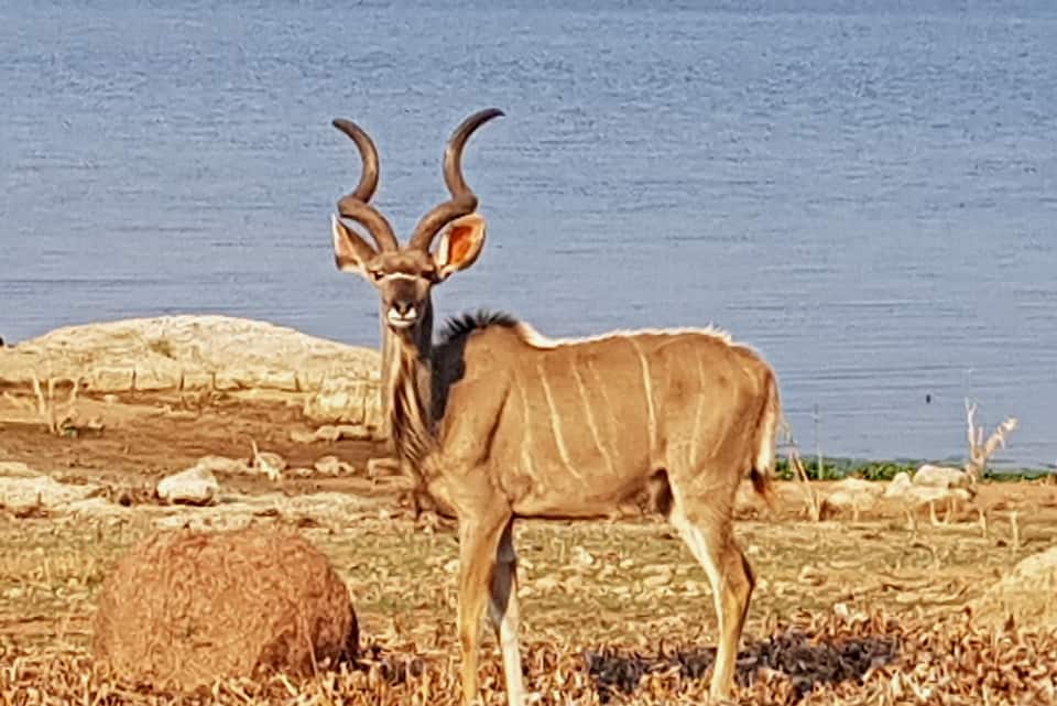 Ledig Vacation Rentals & Homes - North West, South Africa | Airbnb