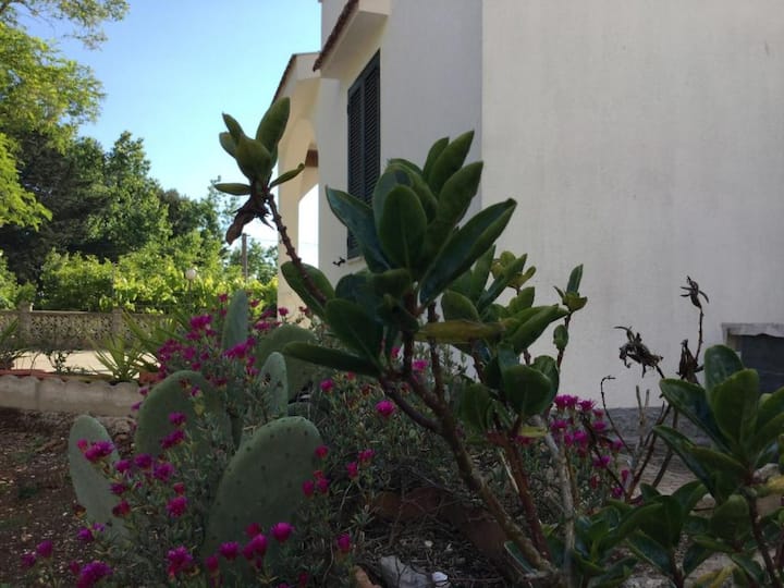 Villetta Alframanì - Ostuni