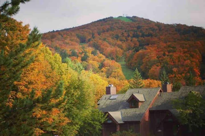 Bromley Village Holiday Rentals & Homes - Peru, VT | Airbnb