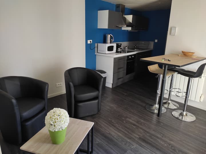 Appartement Hyper Centre Ville Le Puy En Velay - Le Puy-en-Velay