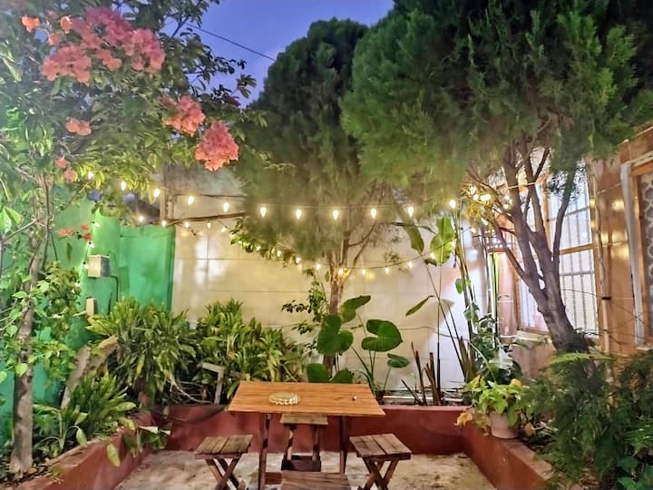 Casa: 8 Libélulas - 