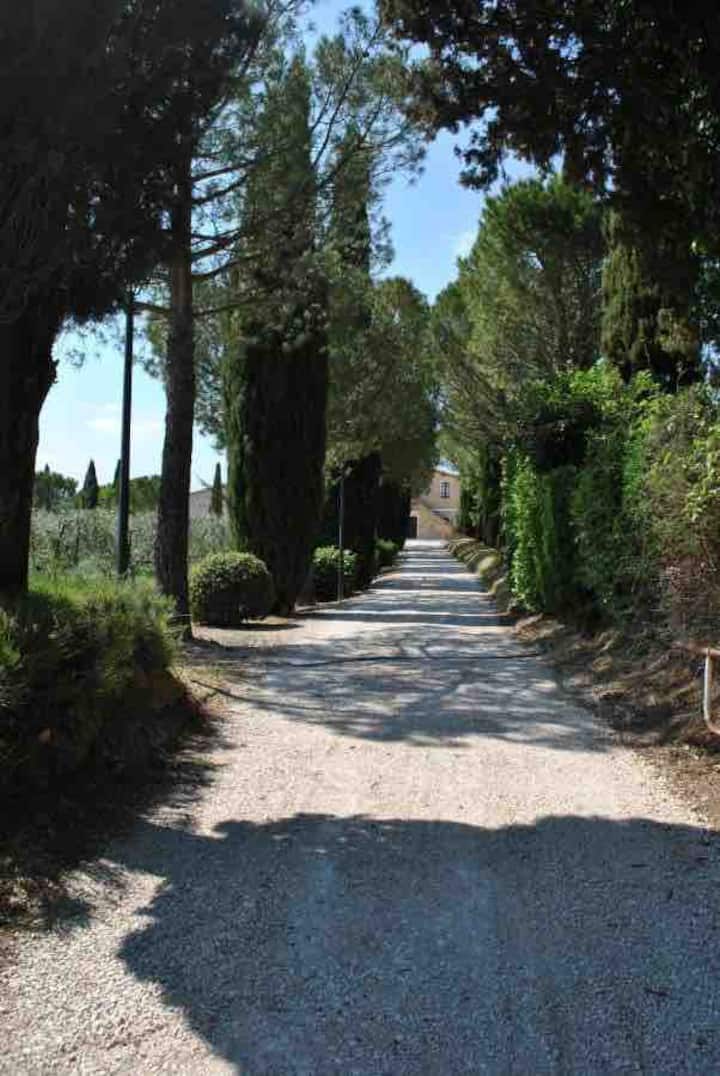 Casa Il Frantoio - Montefalco