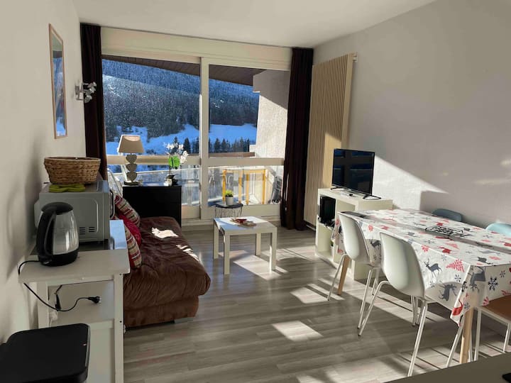 Très Bel Appartement T2 Plein Sud Villard De Lans - Massif du Vercors