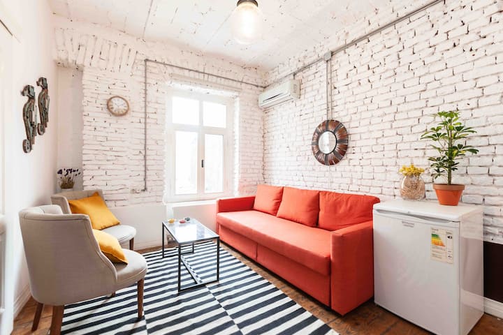 Historical Comfy Flat In Taksim - 32 - İstanbul