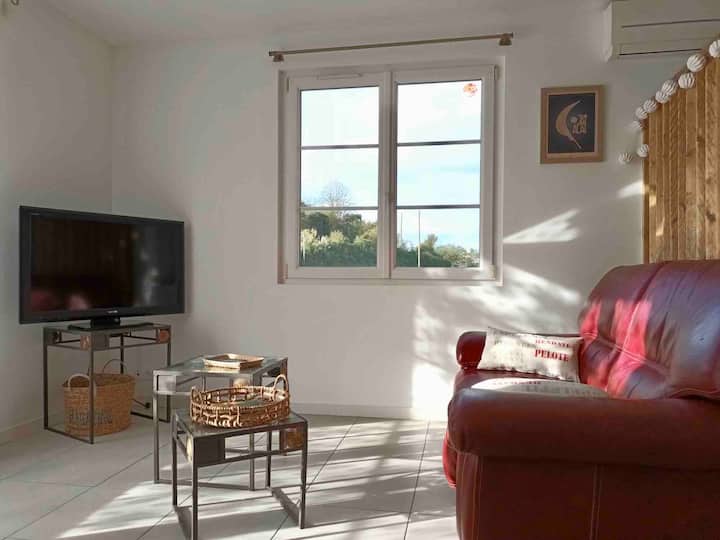 Appartement T1 Lumineux Et Rénové - Hasparren