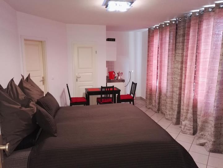 Amsterdam-einraumwohnung 4km-zentrum-leipzig - Leipzig