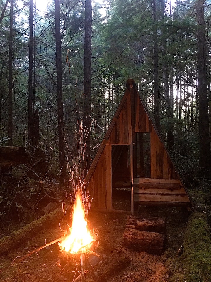 Ruby Beach Cabins | Cabins and More | Airbnb