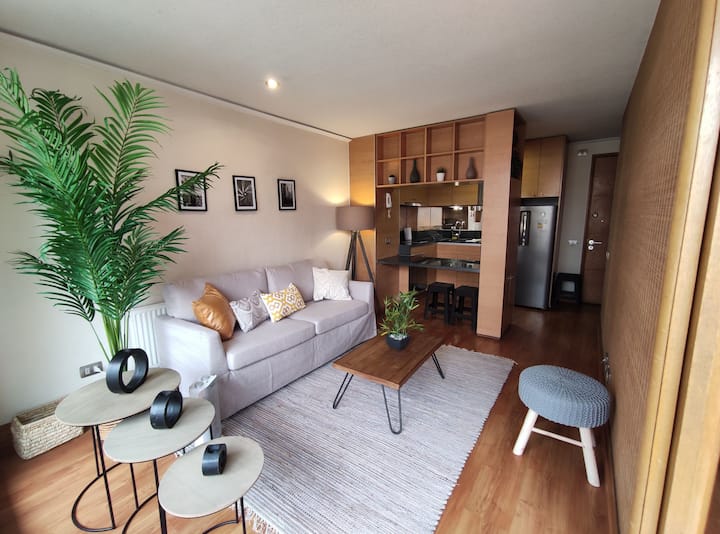 Hermoso Departamento Providencia - Chili
