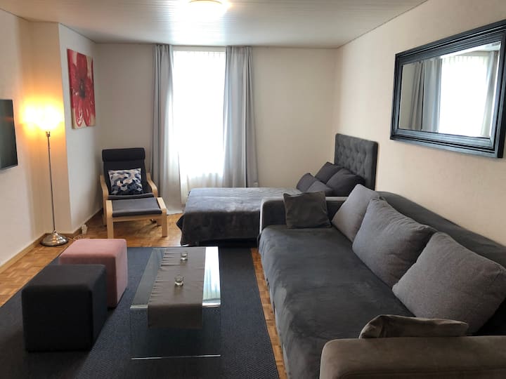 2 Room (1br) Apartment Zurich City - Opfikon