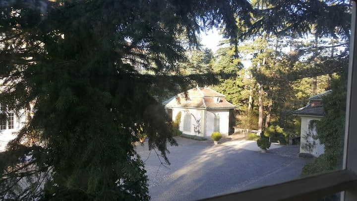 1-room Apartment In Historical Building (847) - Lörrach