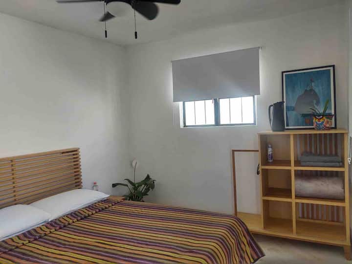 Mi Casita San Miguel De Allende Cactus - San Miguel de Allende