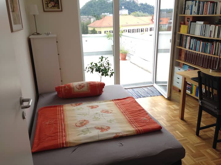 Zimmer Mit Großer Terasse Und Schlossbergblick - Graz