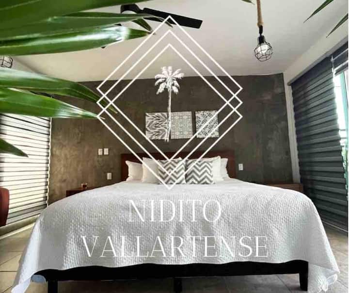 "Tiny Penthouse"petfriendly,jacuzzi,a/c,pool,grill - Puerto Vallarta