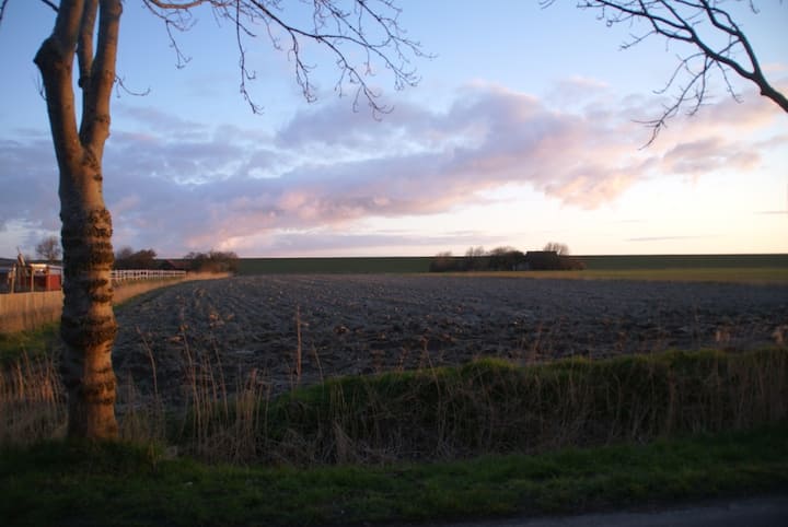 Ferienwohnung Caruso - Natur Pur An Der Nordsee - Wangerland
