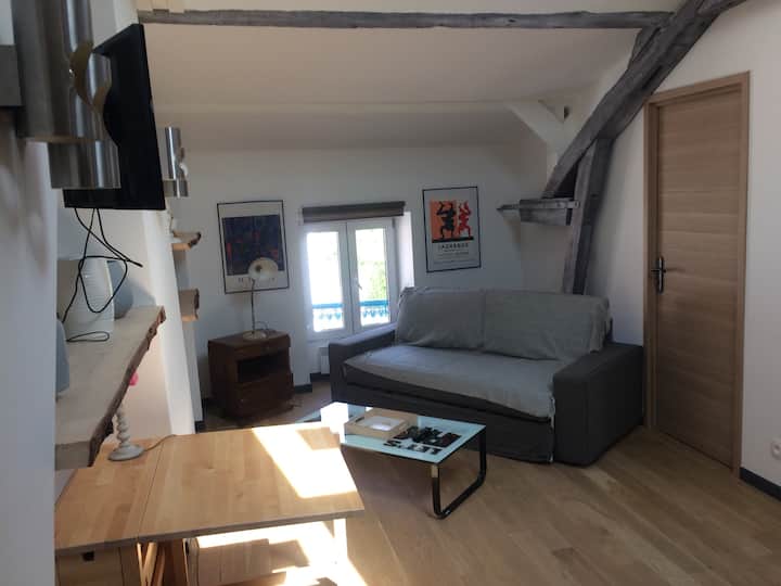 Loft De Charme De45 M2 - Cergy