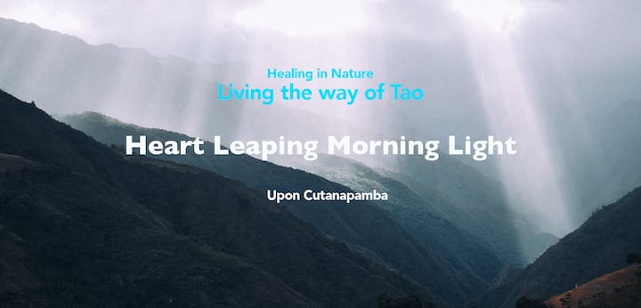 Tealu-rustic Cabin - Vilcabamba